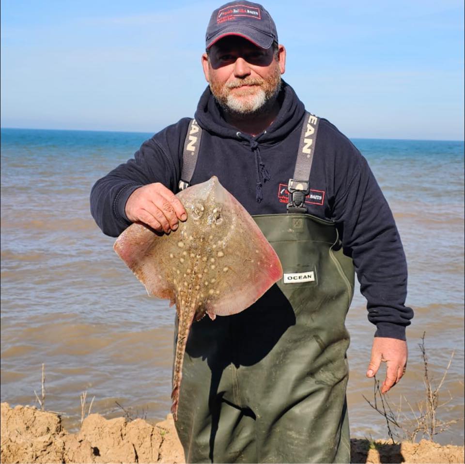 About - Squids In! SEA BAITS