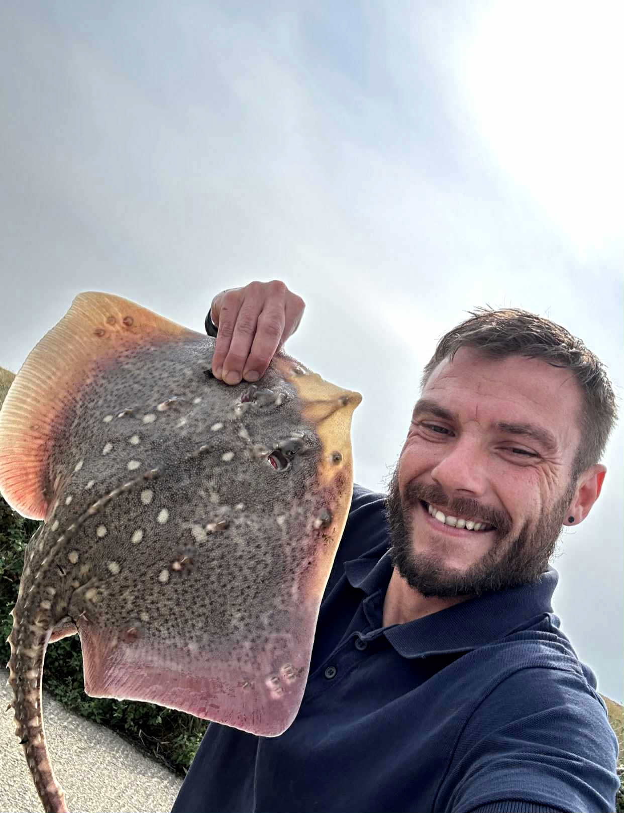 River Humber Fish Species - Squids In! SEA BAITS